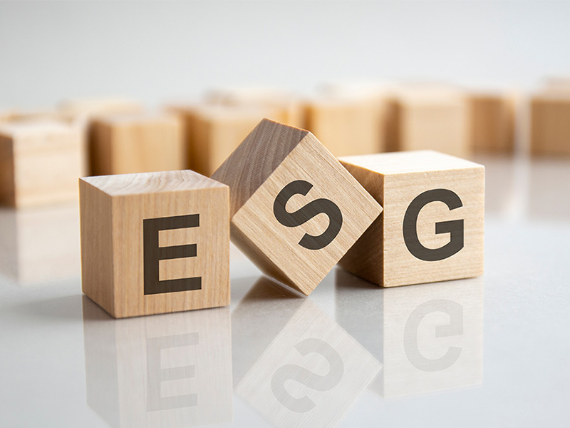 ESGスコア | 日経ESG