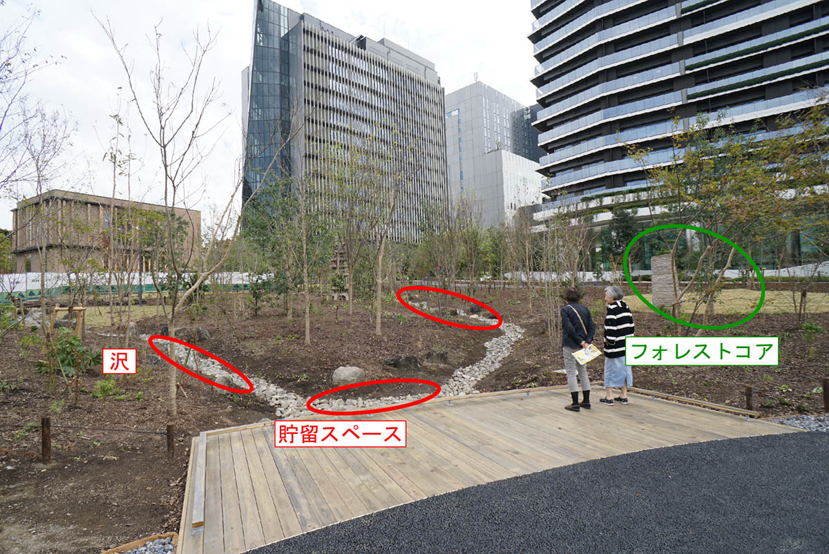 第6回 東京都初のPark-PFI「都立明治公園」がオープン｜新・公民連携最前線｜PPPまちづくり