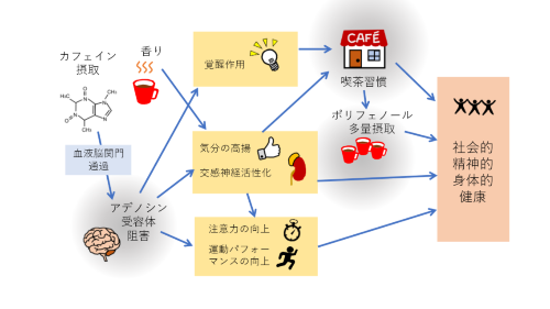 第9回 コーヒー好きの住民に健康な人が多いのは本当か?|新・公民連携最前線|pppまちづくり