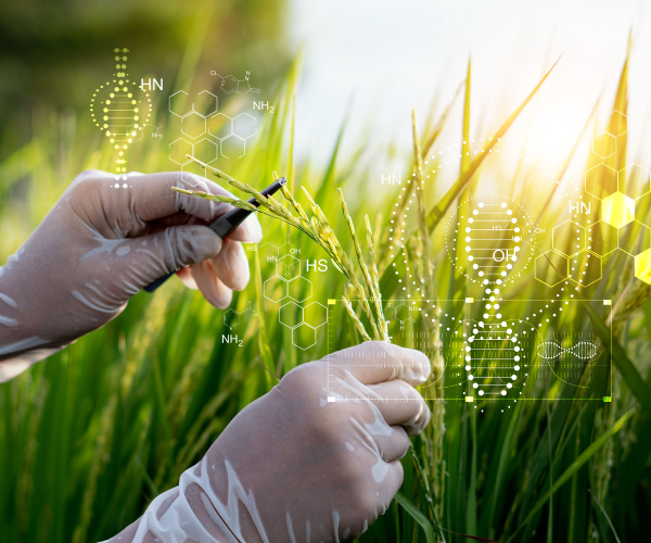 「RE100」実現へ、水素に希望を見る 実証施設「H2 KIBOU FIELD」に革命の萌芽あり | 未来コトハジメ