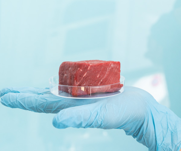 「RE100」実現へ、水素に希望を見る 実証施設「H2 KIBOU FIELD」に革命の萌芽あり | 未来コトハジメ