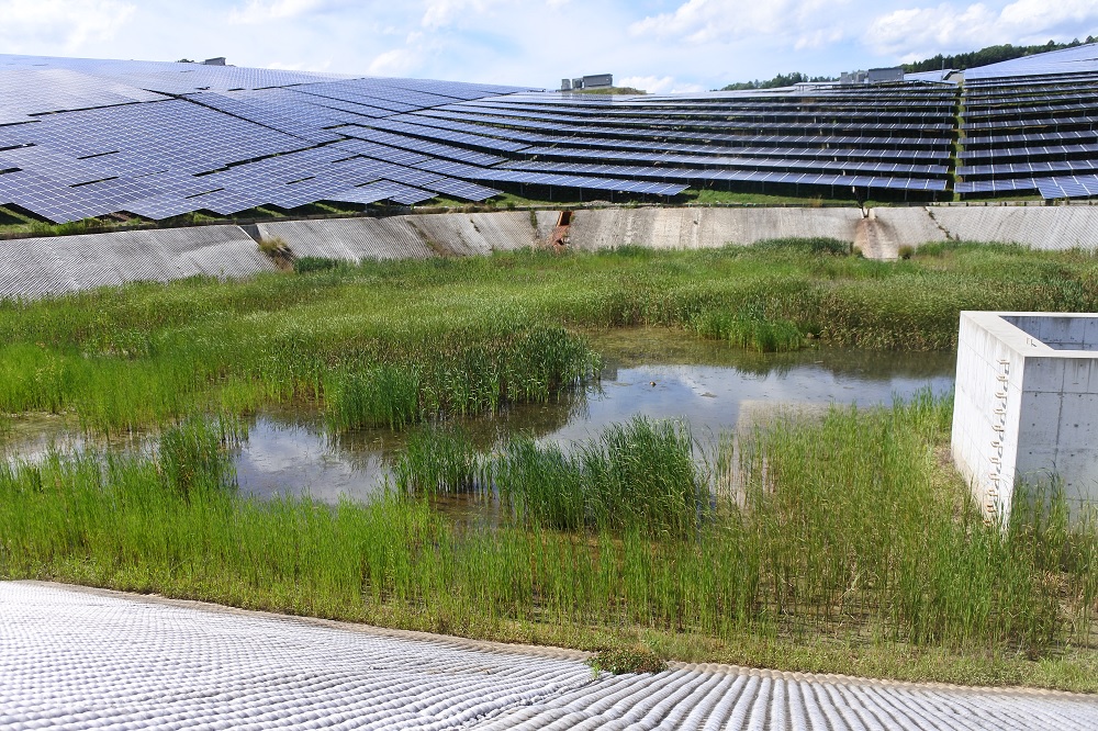 国内最大・260MWのメガソーラー、地域とともに運営 - 探訪 - メガソーラービジネス plus : 日経BP